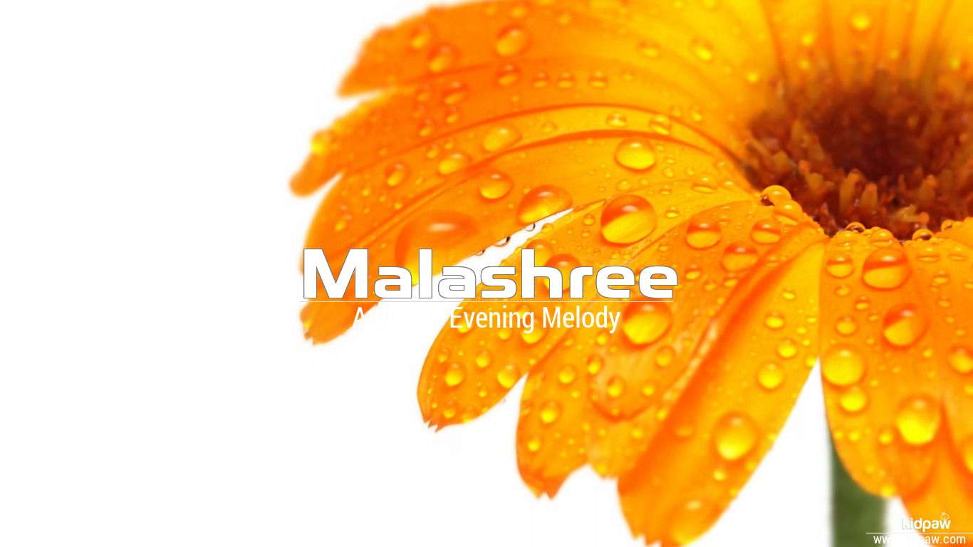Malashree 3D Name Wallpaper for Mobile, Write मालाश्री Name on Photo Online