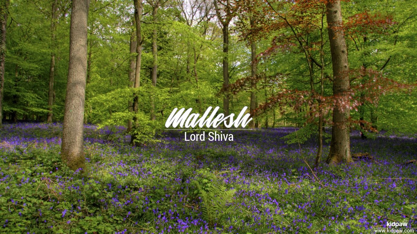 Mallesh Name Meaning in Hindi | hindi main naam ka vivaran | नाम का विवरण