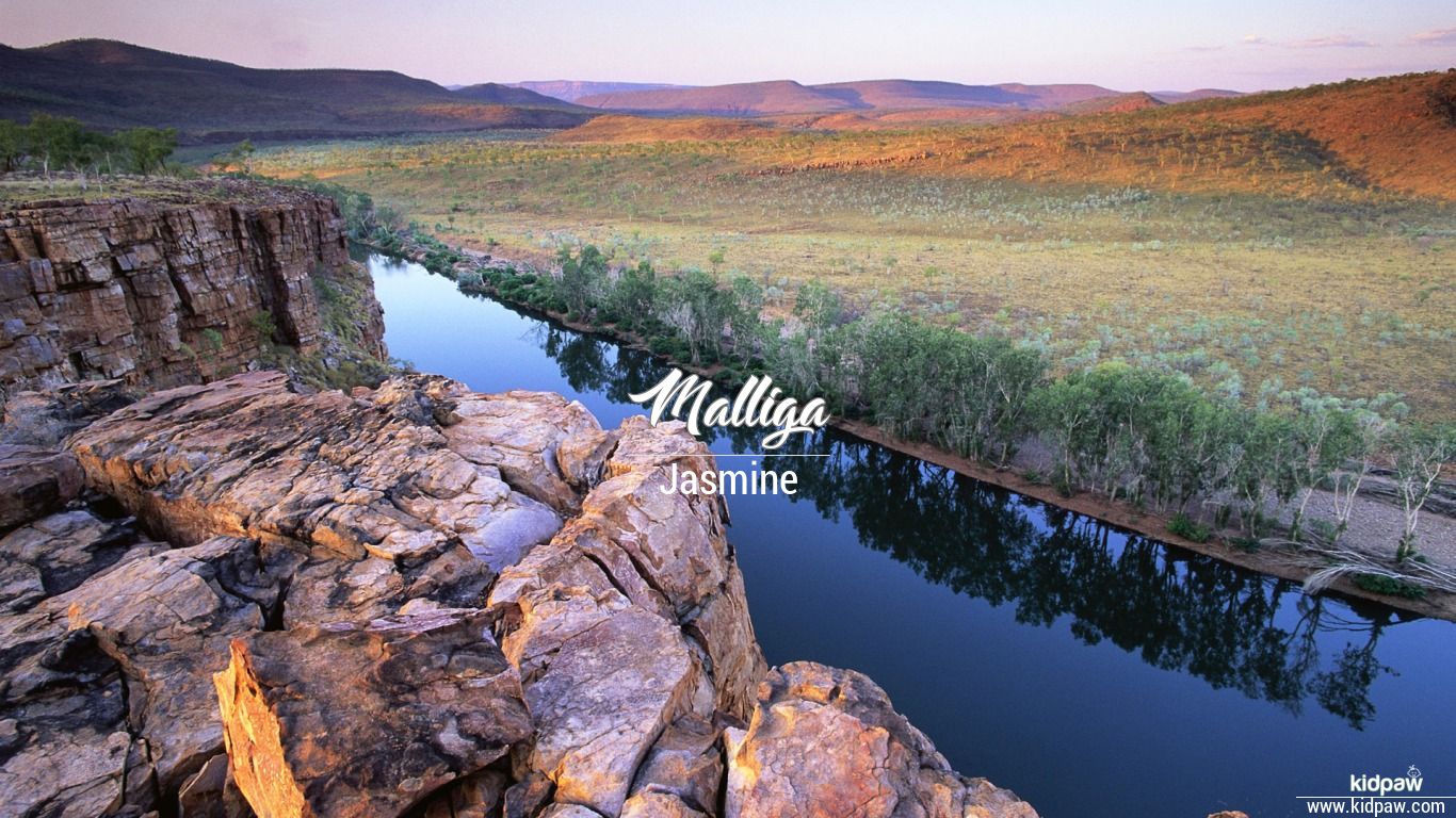 मल्लिगा | Malliga Name Meaning in Hindi & English, Rashi, Nakshatra ...