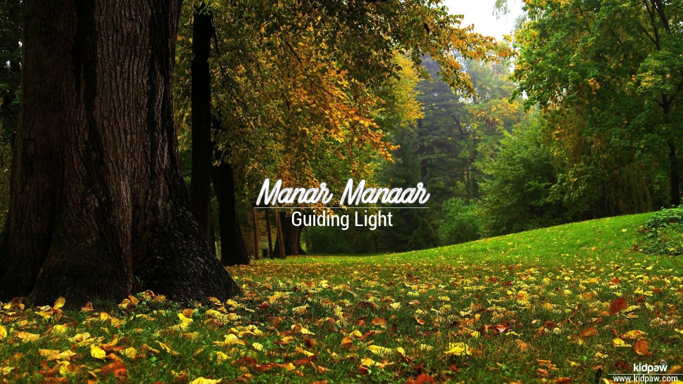 Manar Manaar Name Meaning in English & Urdu, Origin, Luck Number