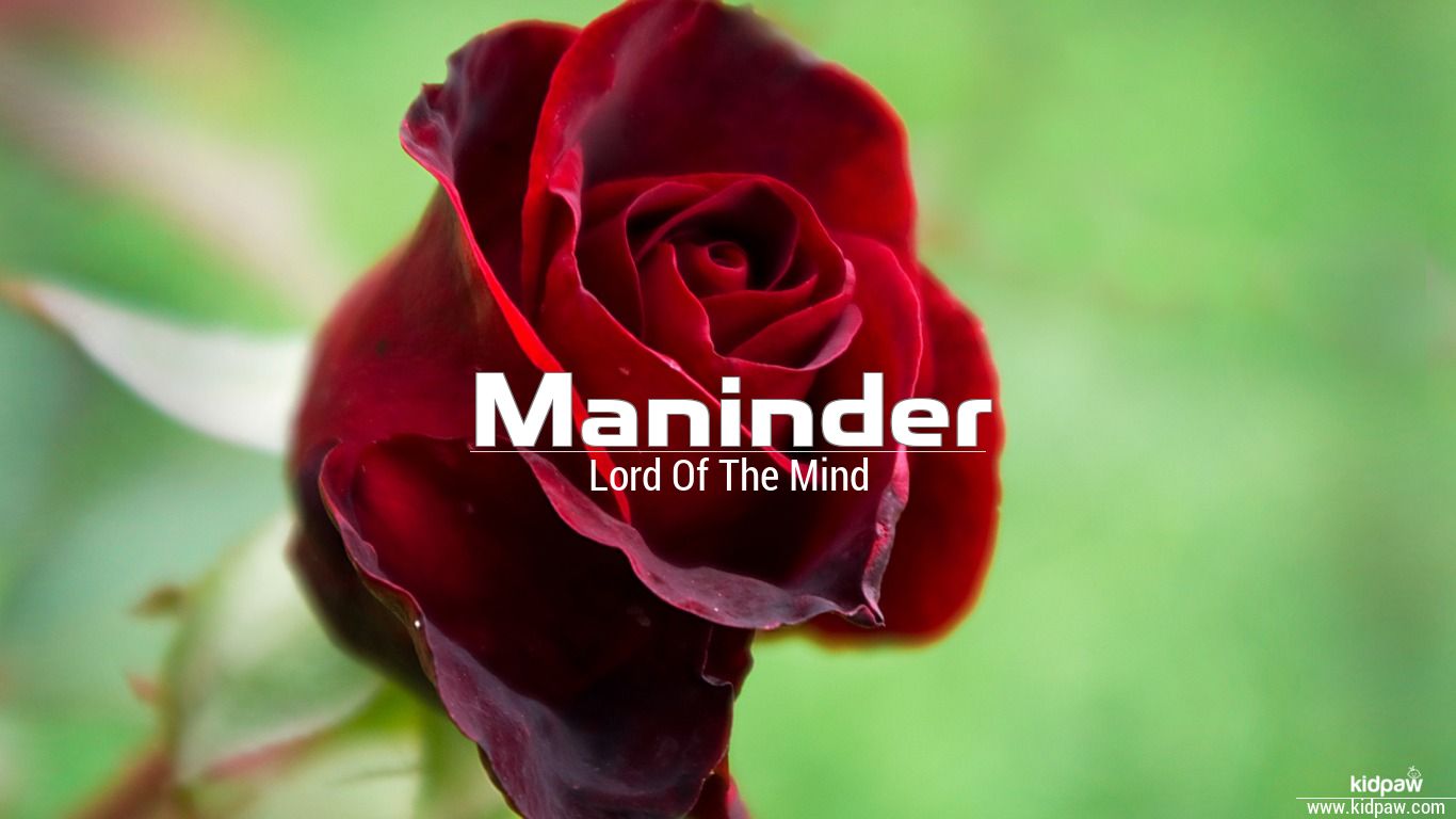 मनिंदर | Maninder Name Meaning in Hindi & English, Rashi, Nakshatra ...