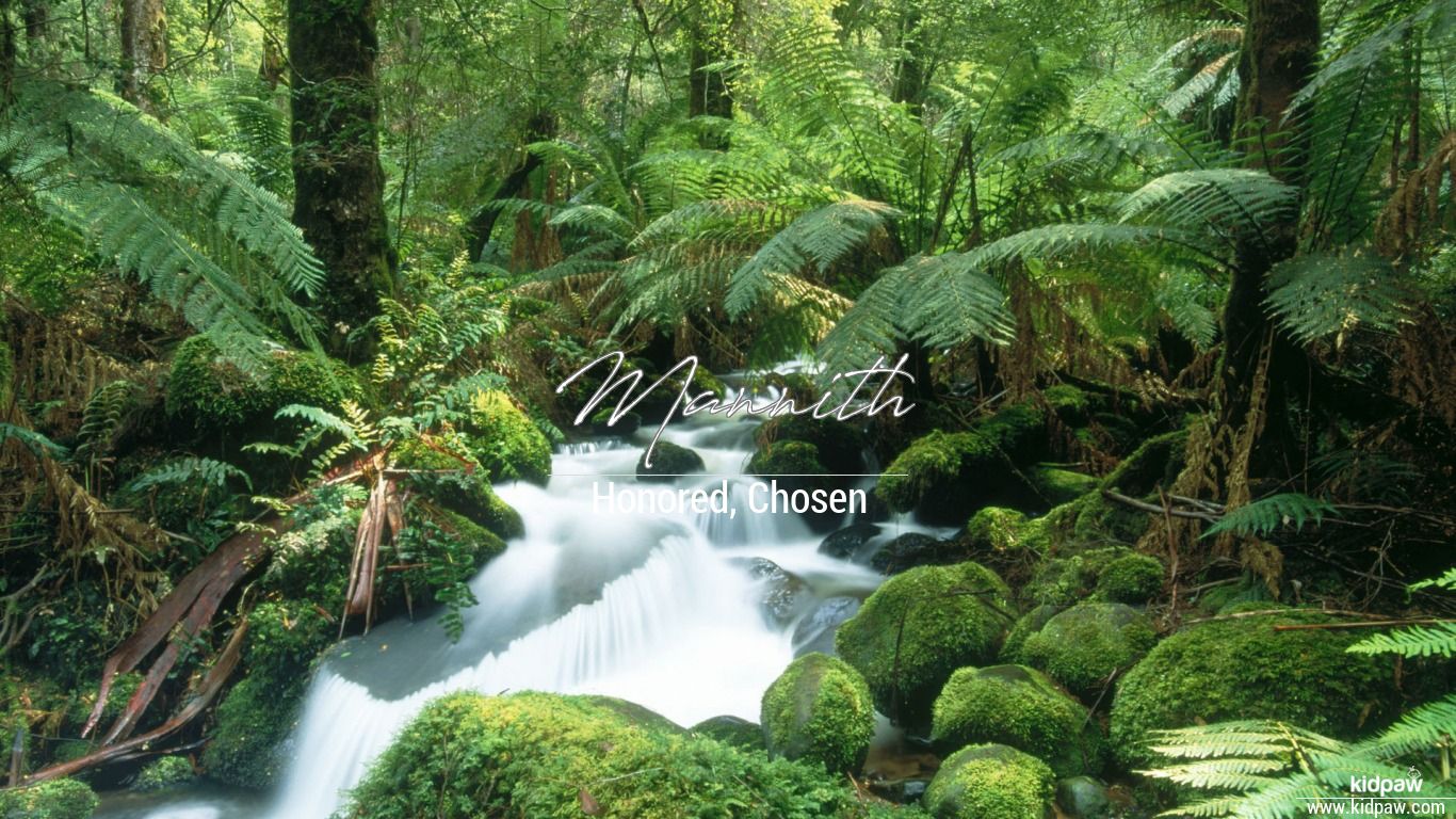 Mannith 3D Name Wallpaper for Mobile, Write मन्नीत Name on Photo Online