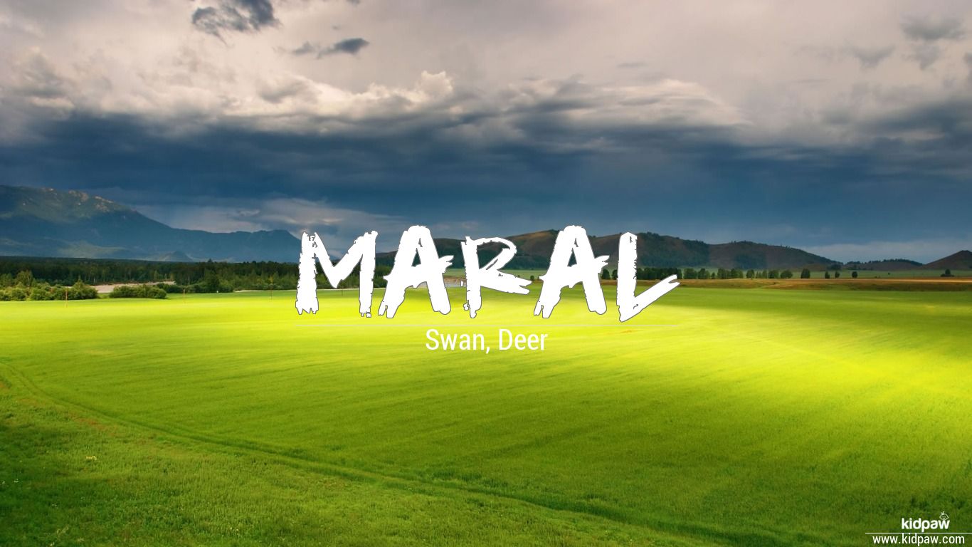 मराल | Maral Name Meaning in Hindi & English, Rashi, Nakshatra, Origin ...