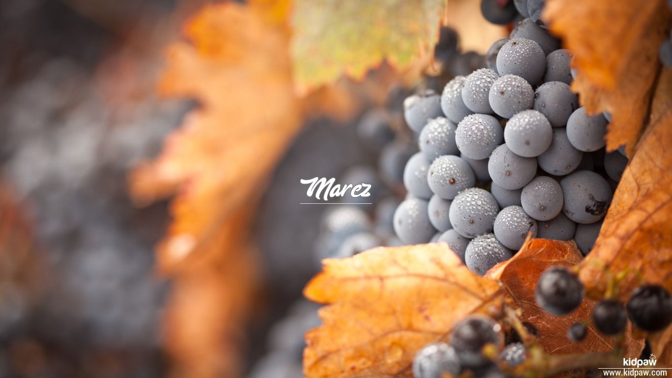 Marez 3D Name Wallpaper for Mobile, Write Name on Photo Online