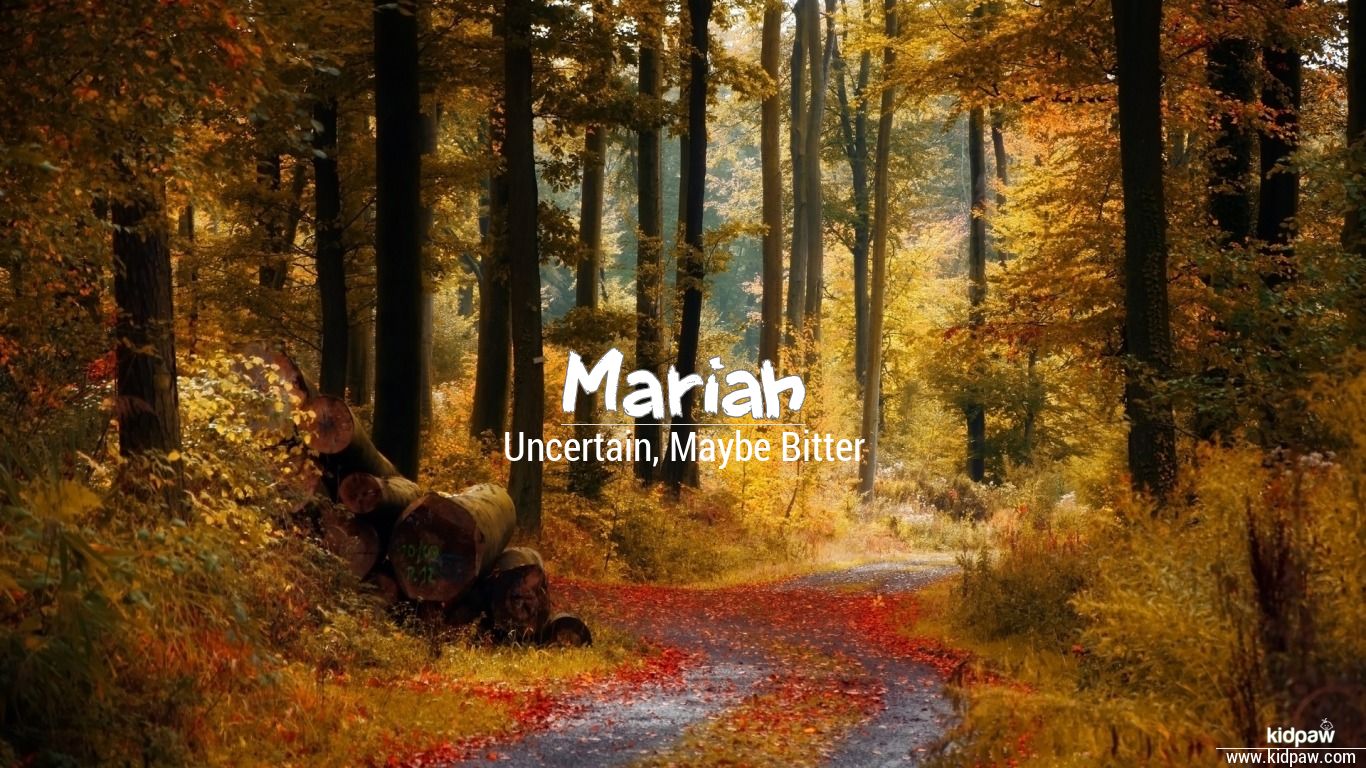 Mariah 3D Name Wallpaper for Mobile, Write Name on Photo Online