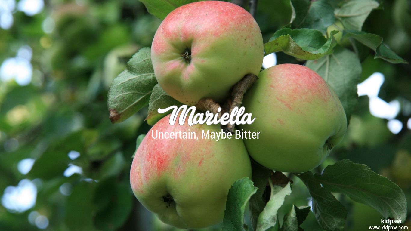 Mariella 3D Name Wallpaper for Mobile, Write Name on Photo Online