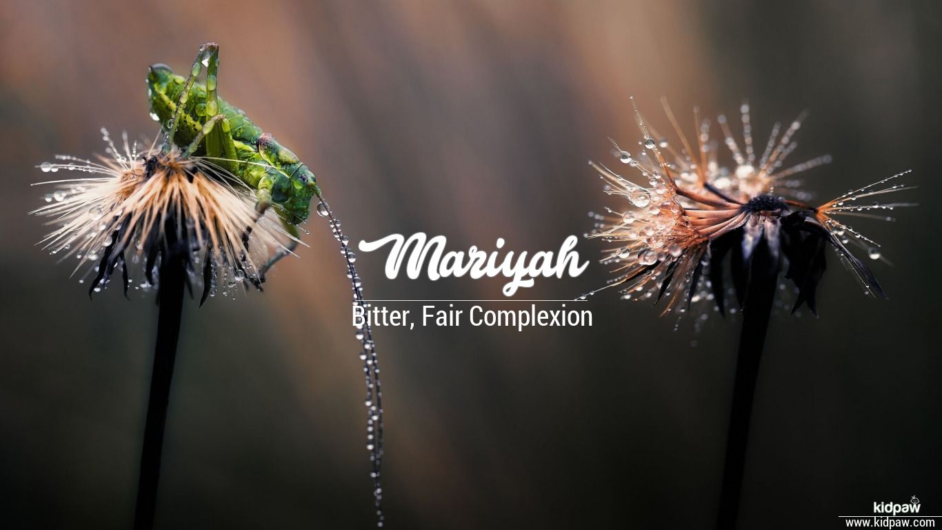 Mariyah 3D Name Wallpaper for Mobile, Write ماریہ Name on Photo Online