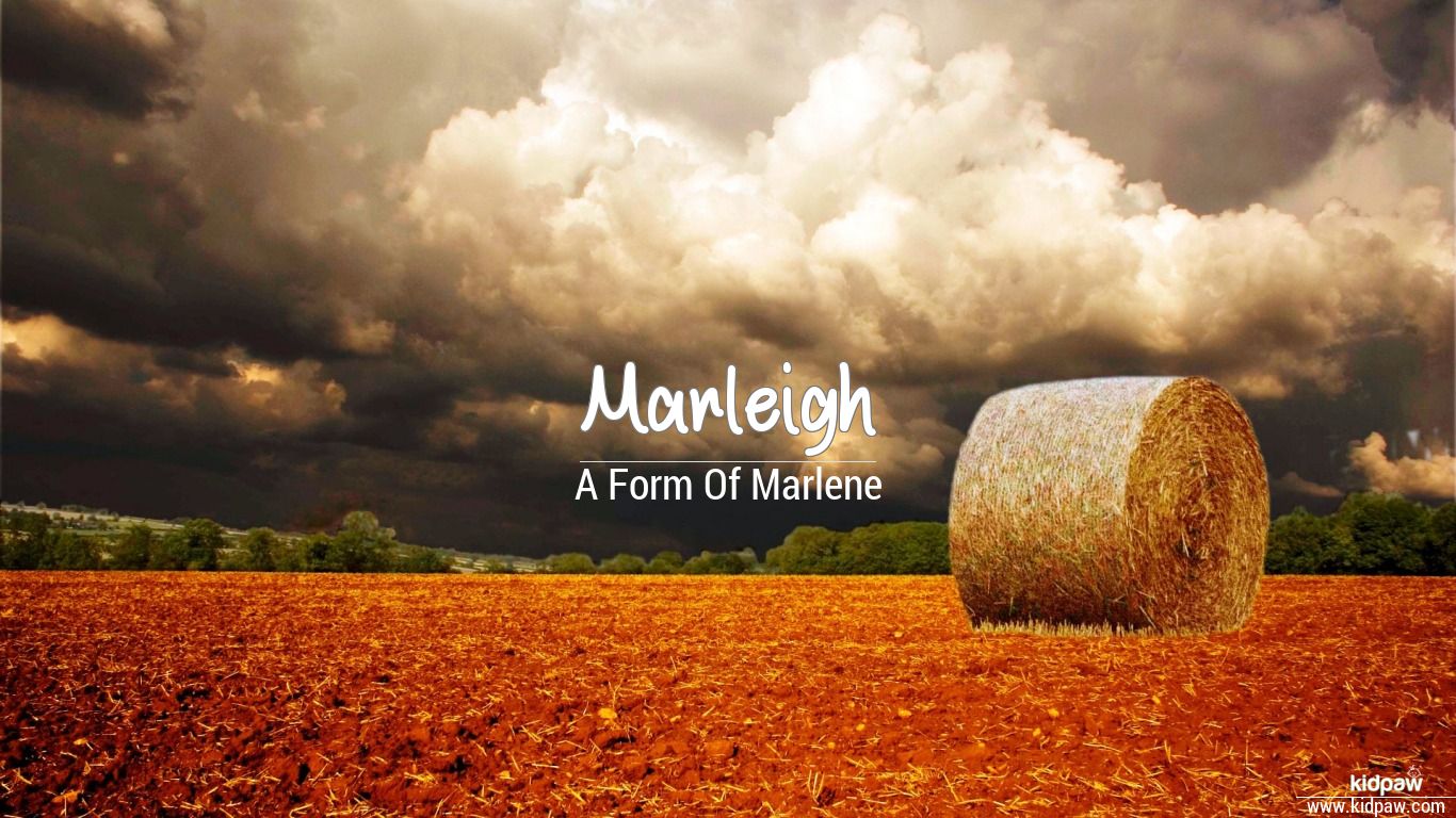 Marleigh 3D Name Wallpaper for Mobile, Write Name on Photo Online