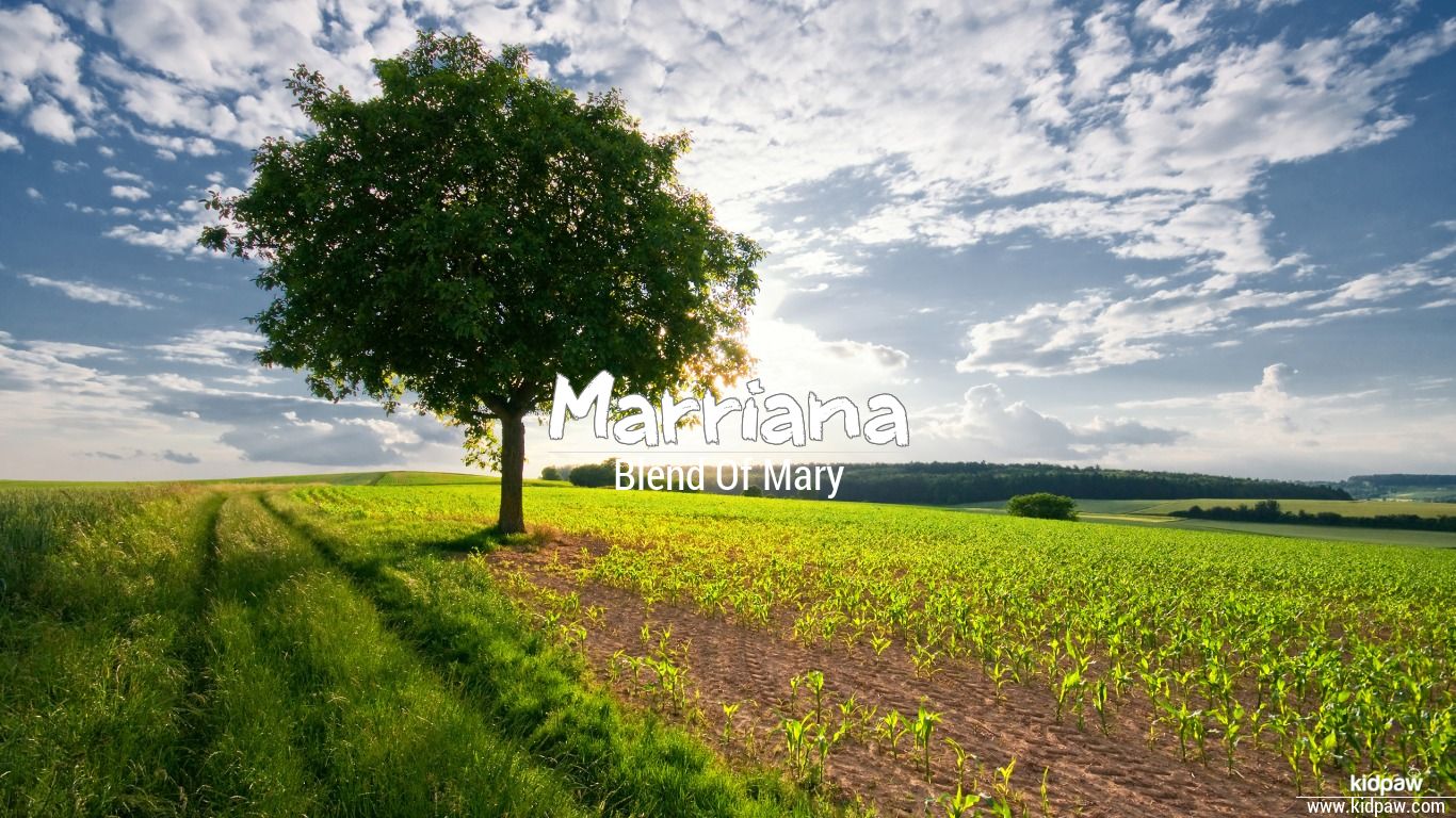 Marriana 3D Name Wallpaper for Mobile, Write Name on Photo Online