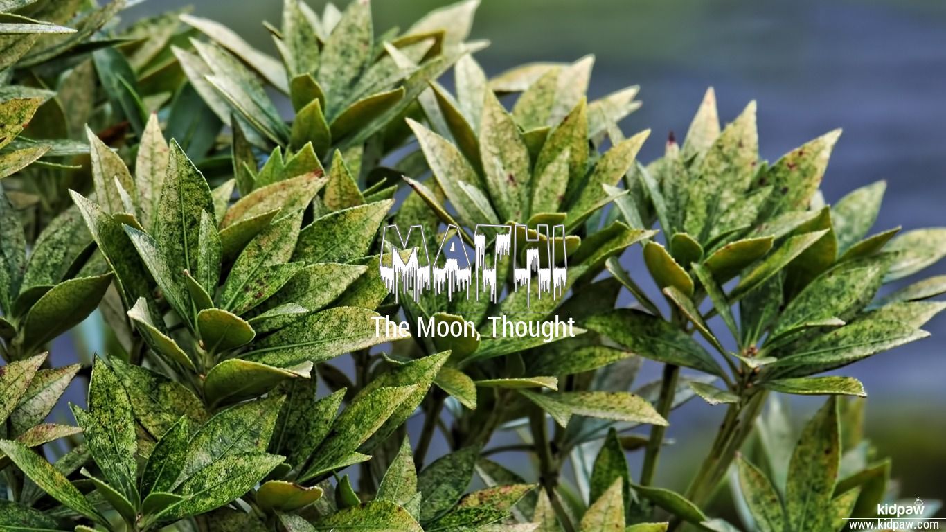 Mathi 3D Name Wallpaper for Mobile, Write मांथी Name on Photo Online