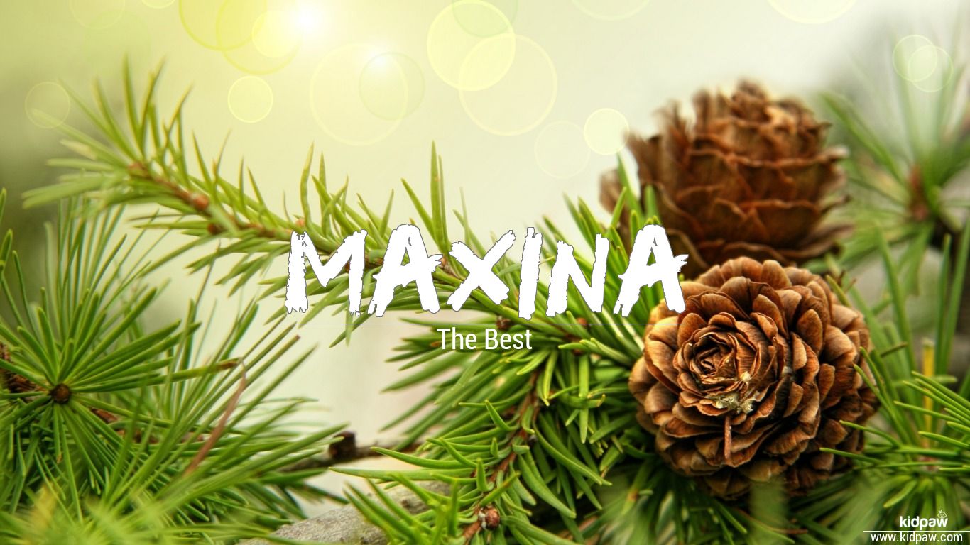 Maxina 3D Name Wallpaper for Mobile, Write Name on Photo Online