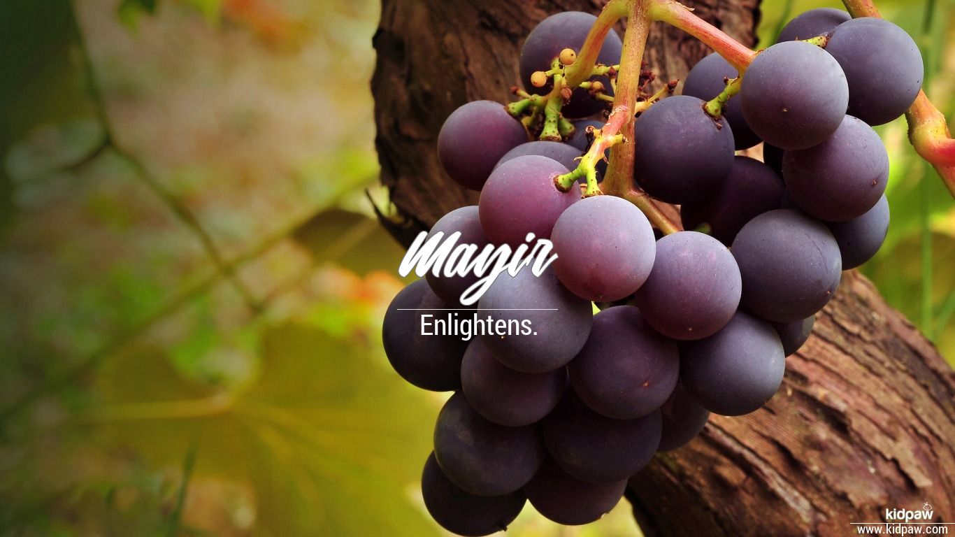 Mayir Meanings in English, Popularity, Origin