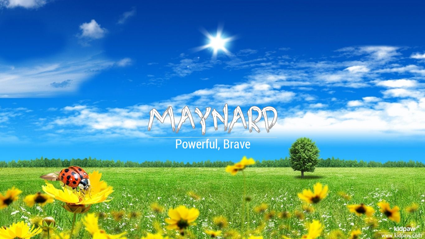 Maynard 3D Name Wallpaper for Mobile, Write Name on Photo Online