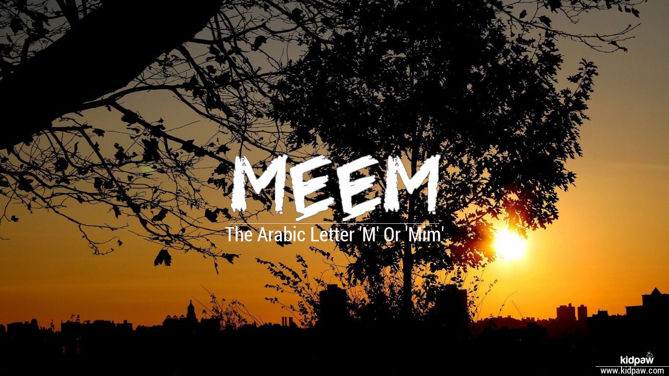 Meem Name Meaning in English & Urdu, Origin, Luck Number