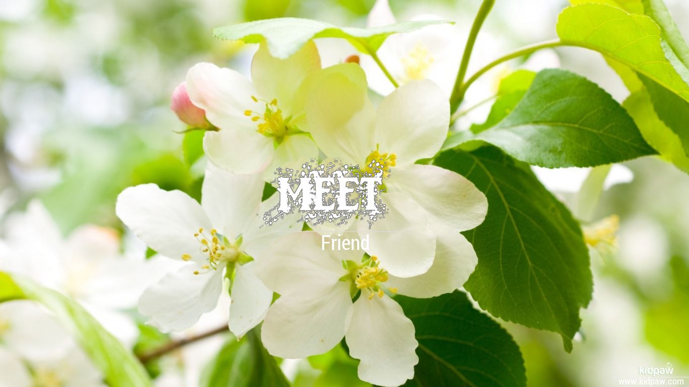मित | Meet Name Meaning in Hindi & English, Rashi, Nakshatra, Origin ...