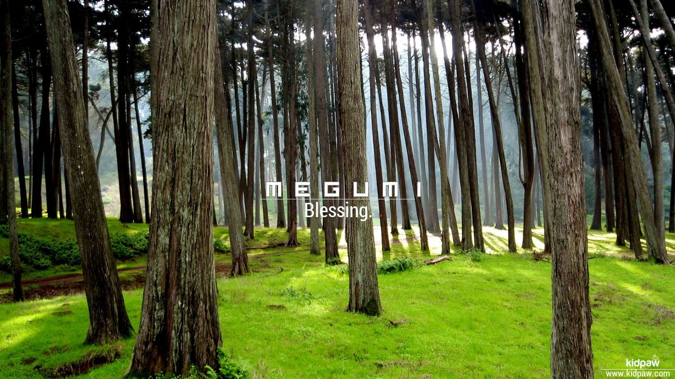Megumi 3D Name Wallpaper for Mobile, Write Name on Photo Online