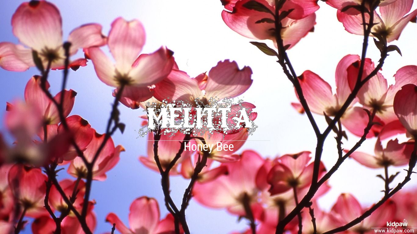 Melitta 3D Name Wallpaper for Mobile, Write Name on Photo Online