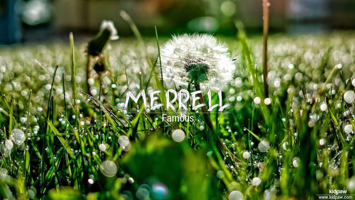 Merrell 3D Name Wallpaper for Mobile, Write Name on Photo Online