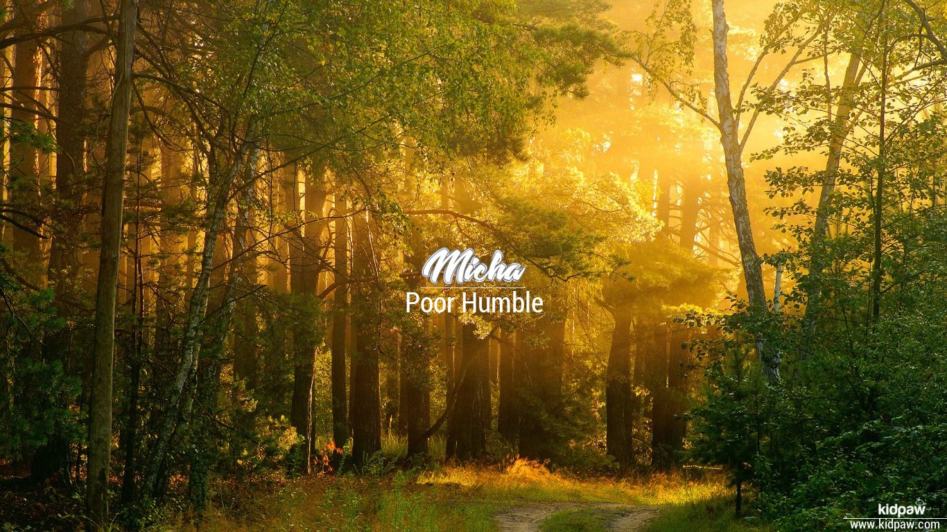 Micha 3D Name Wallpaper for Mobile, Write Name on Photo Online