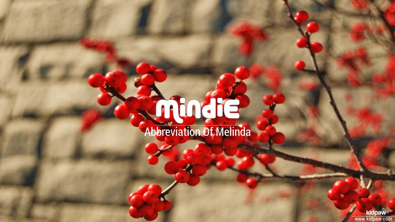 Mindie 3D Name Wallpaper for Mobile, Write Name on Photo Online