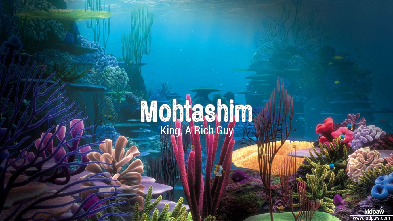 Mohtashim 3D Name Wallpaper for Mobile, Write موہتاشم Name on Photo Online