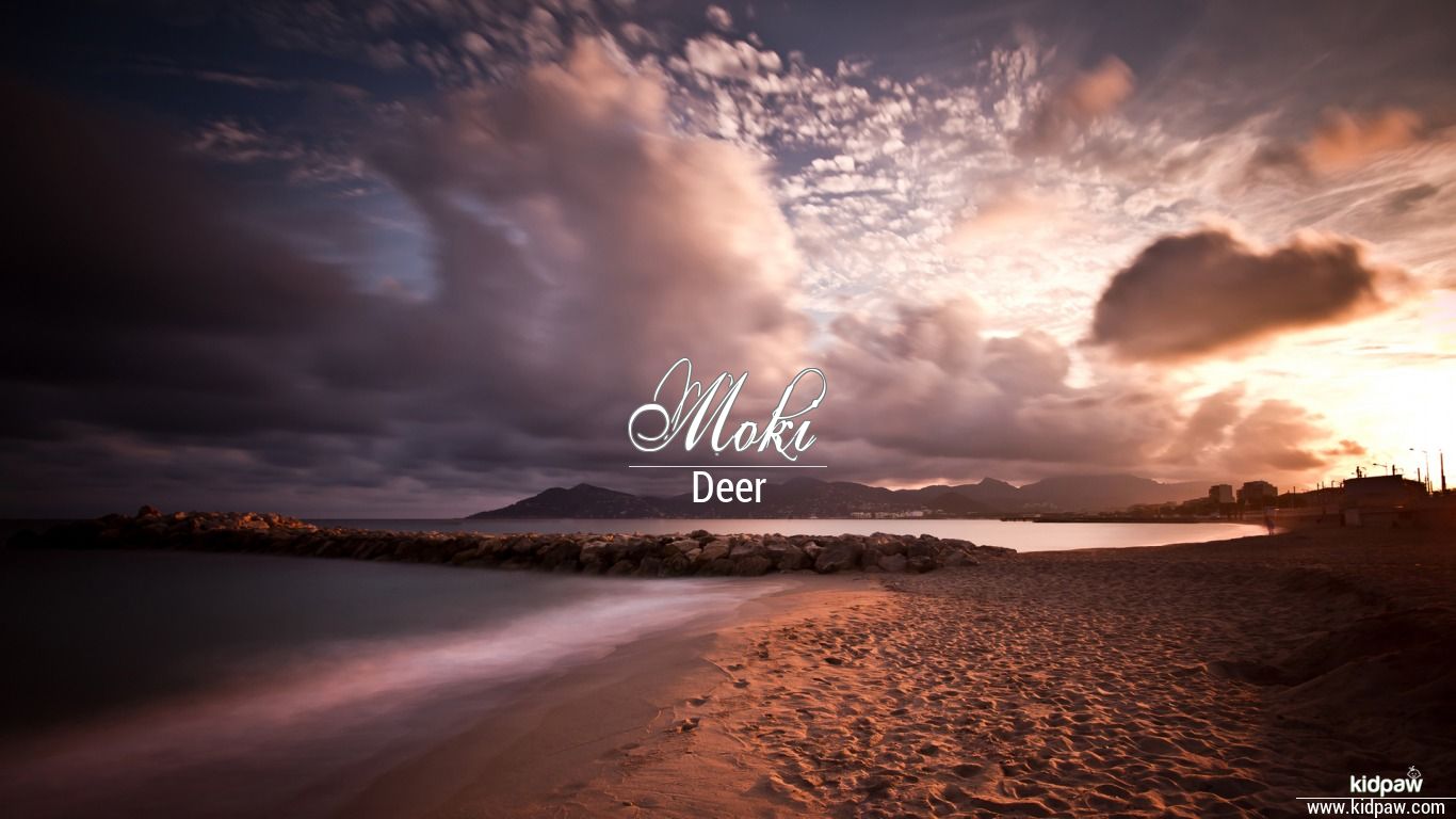 Moki 3D Name Wallpaper for Mobile, Write Name on Photo Online