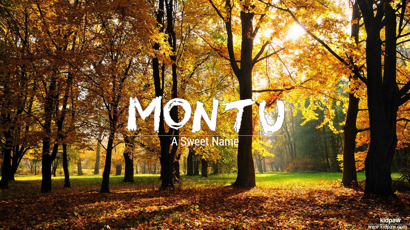 Montu 3D Name Wallpaper for Mobile, Write मोन्टु Name on Photo Online