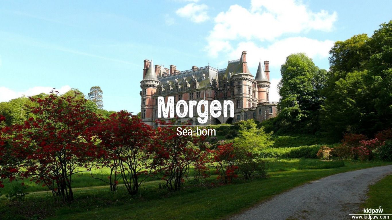 Morgen 3D Name Wallpaper for Mobile, Write Name on Photo Online