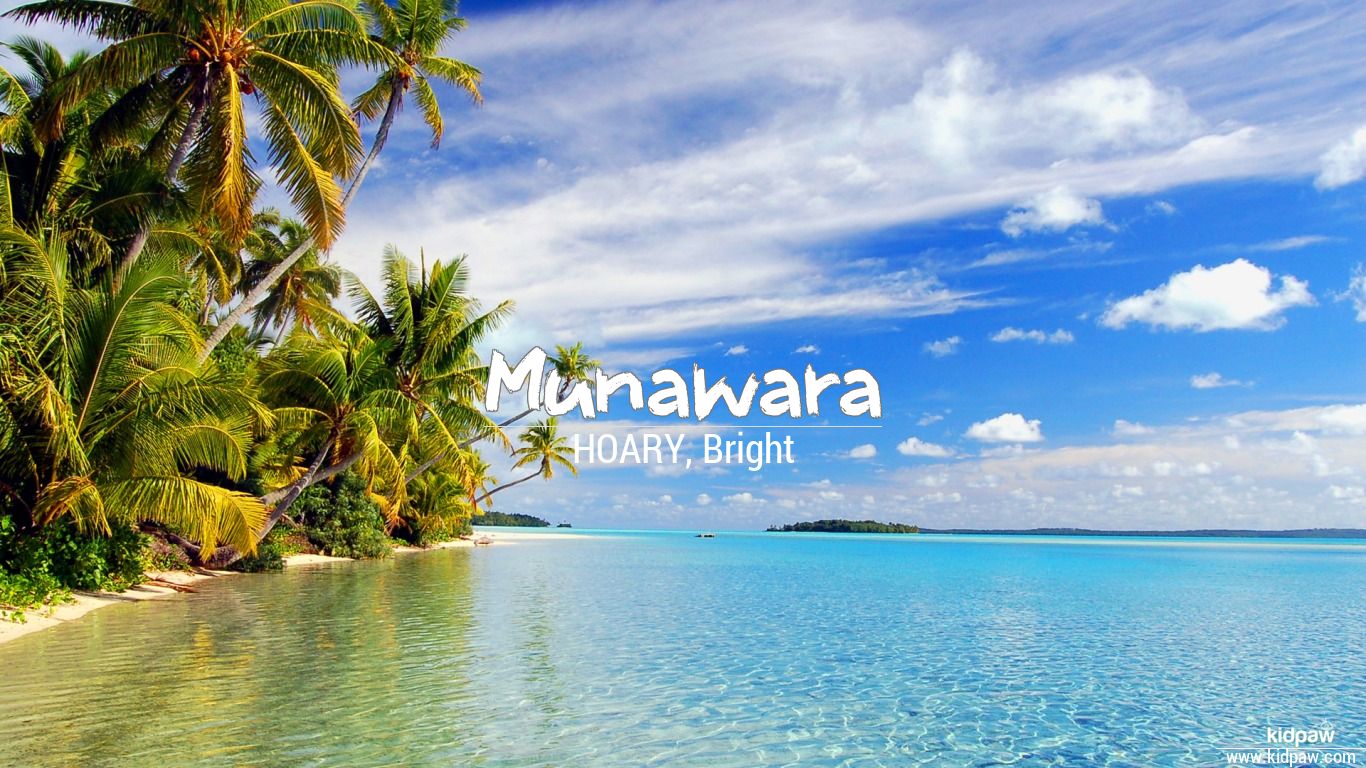 Munawara Name Meaning in English & Urdu, Origin, Luck Number
