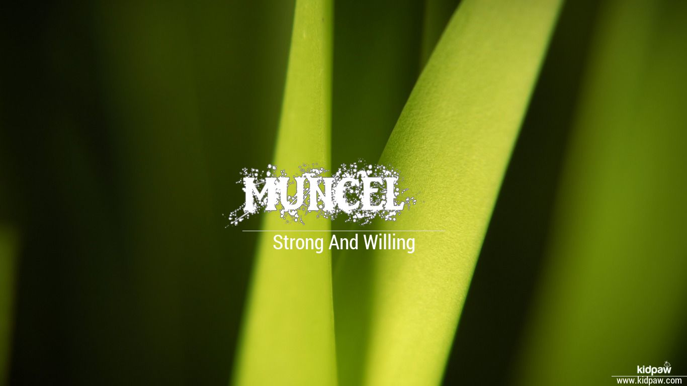 Muncel 3D Name Wallpaper for Mobile, Write Name on Photo Online