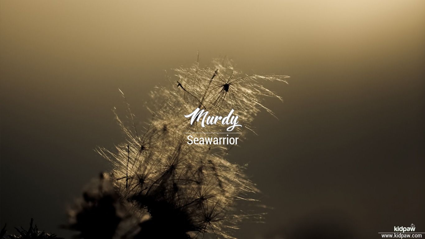 Murdy 3D Name Wallpaper for Mobile, Write Name on Photo Online