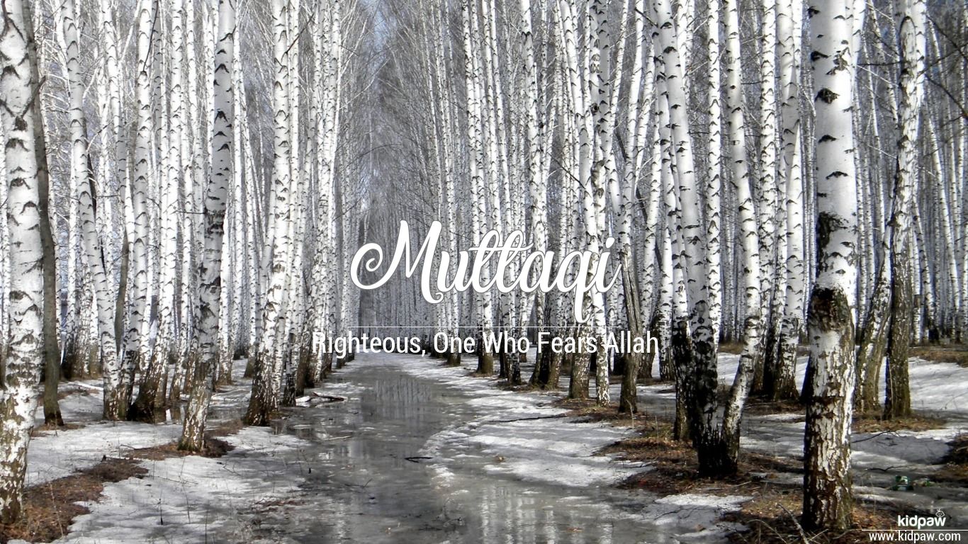 Muttaqi 3D Name Wallpaper for Mobile, Write متقی Name on Photo Online