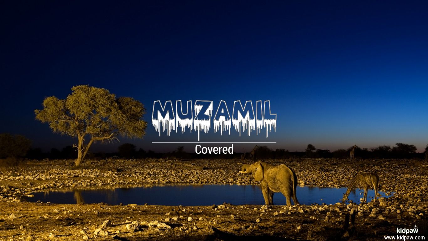 Muzamil 3D Name Wallpaper for Mobile, Write Name on Photo Online