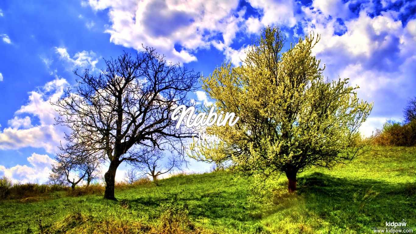 Nabin 3D Name Wallpaper for Mobile, Write नबीन Name on Photo Online