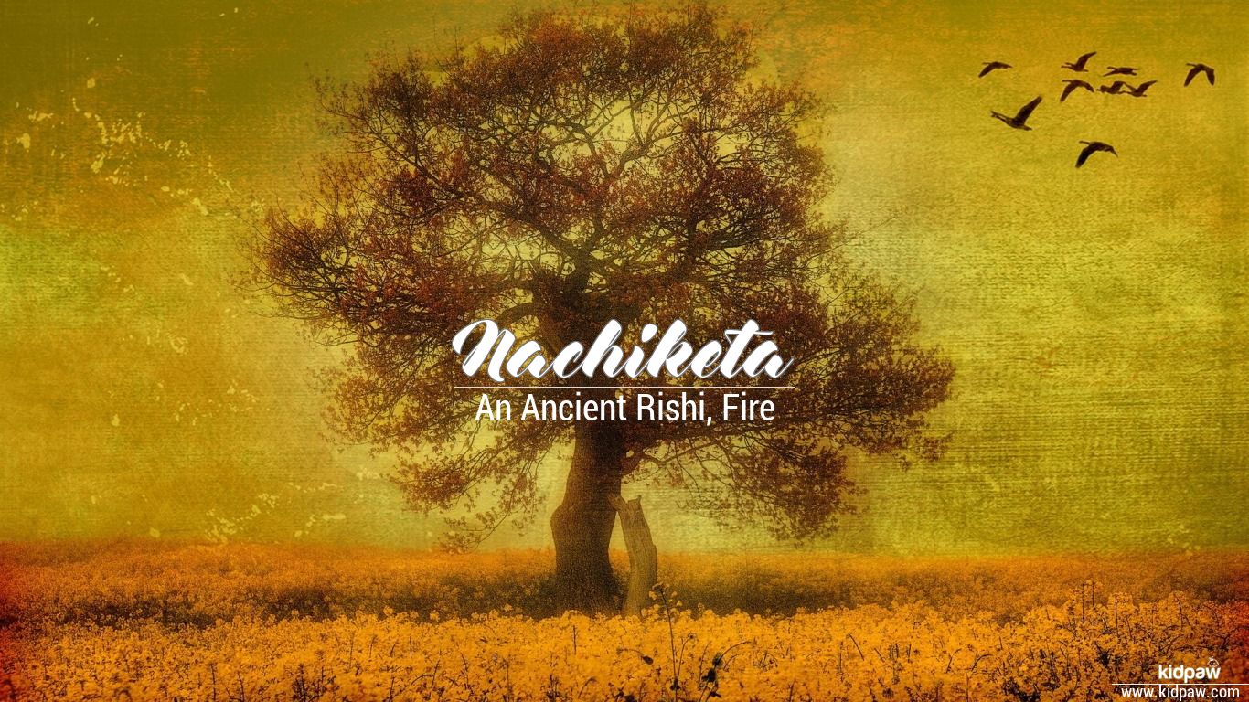 Nachiketa 3D Name Wallpaper for Mobile, Write नचिकेता Name on Photo Online