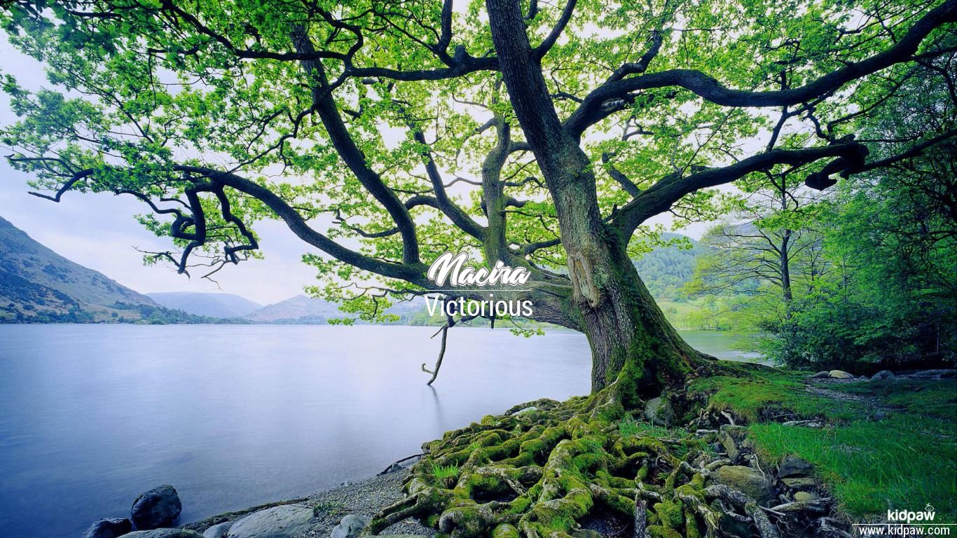 Nacira 3D Name Wallpaper for Mobile, Write نسيرة Name on Photo Online