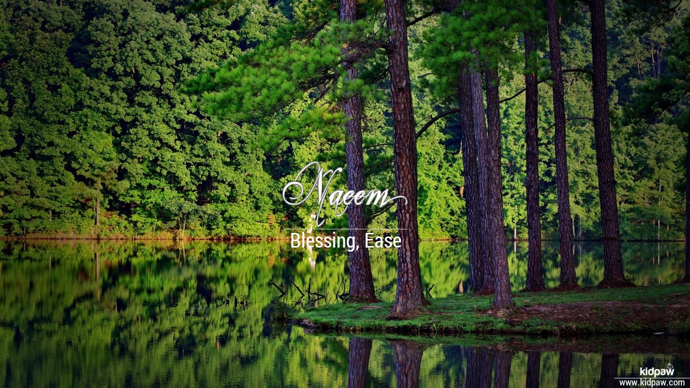 Naeem 3D Name Wallpaper for Mobile, Write نیم Name on Photo Online