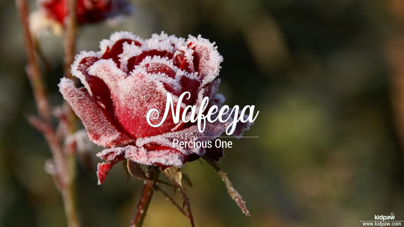 Nafeeza 3D Name Wallpaper for Mobile, Write نفیزہ Name on Photo Online