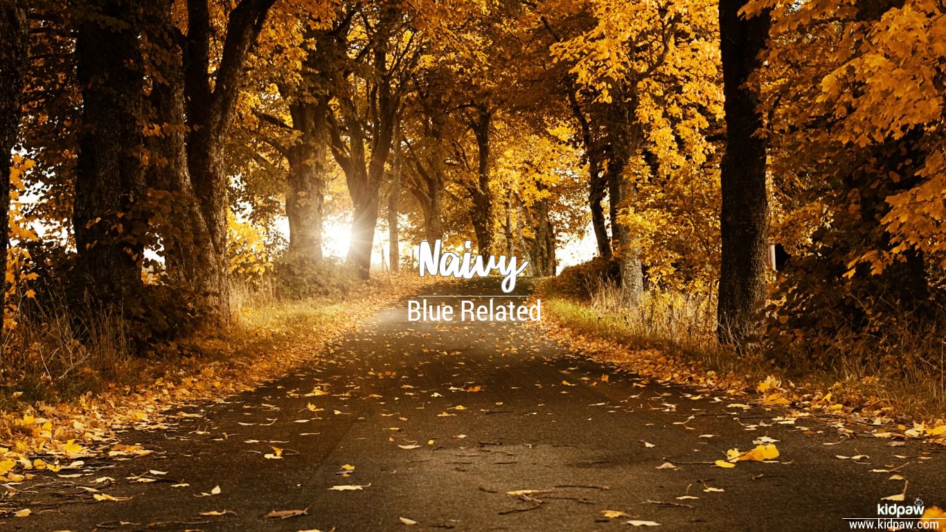 Naivy 3D Name Wallpaper for Mobile, Write नैव्य Name on Photo Online