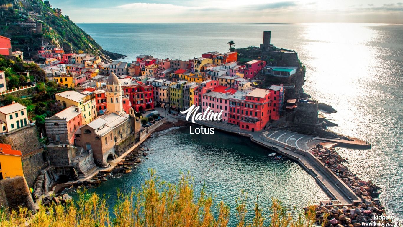 Nalini 3D Name Wallpaper for Mobile, Write नलिनी Name on Photo Online