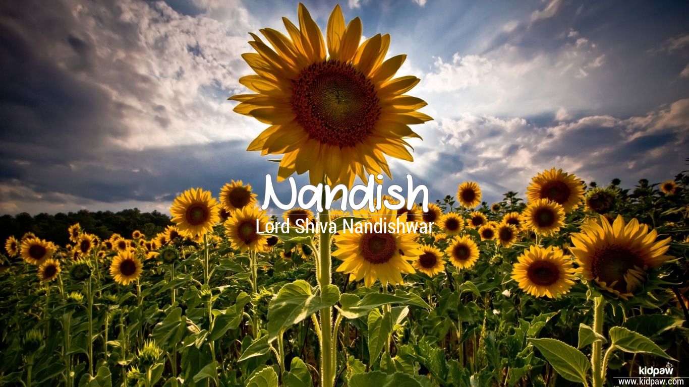 नंदिश | Nandish Name Meaning in Hindi & English, Rashi, Nakshatra ...