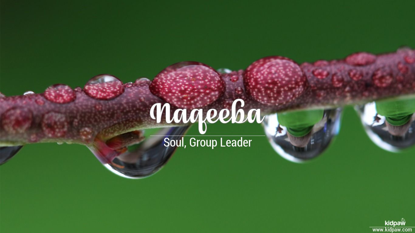 Naqeeba 3D Name Wallpaper for Mobile, Write Name on Photo Online