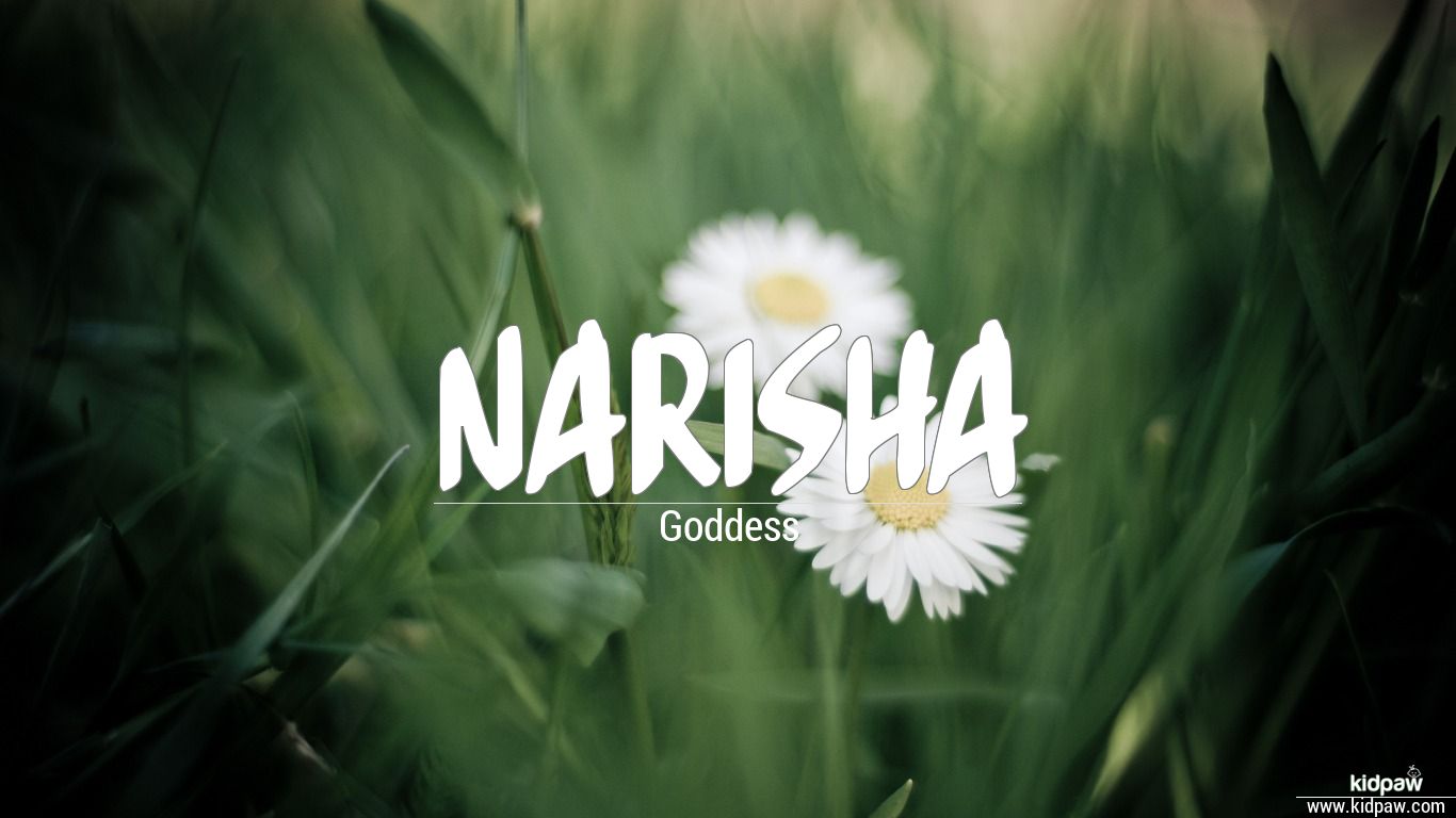Narisha Name Meaning in English & Urdu, Origin, Luck Number