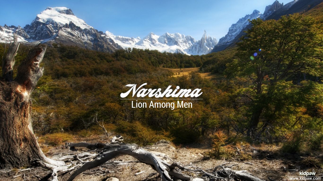 Narshima 3D Name Wallpaper for Mobile, Write नर्शिमा Name on Photo Online