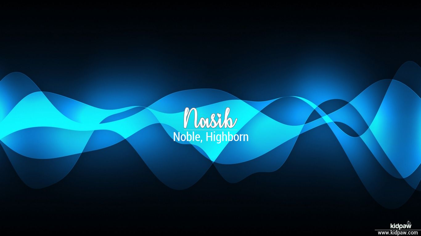 Nasib Name Meaning in English & Urdu, Origin, Luck Number