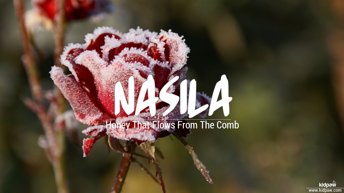 Nasila 3D Name Wallpaper for Mobile, Write نسلا Name on Photo Online