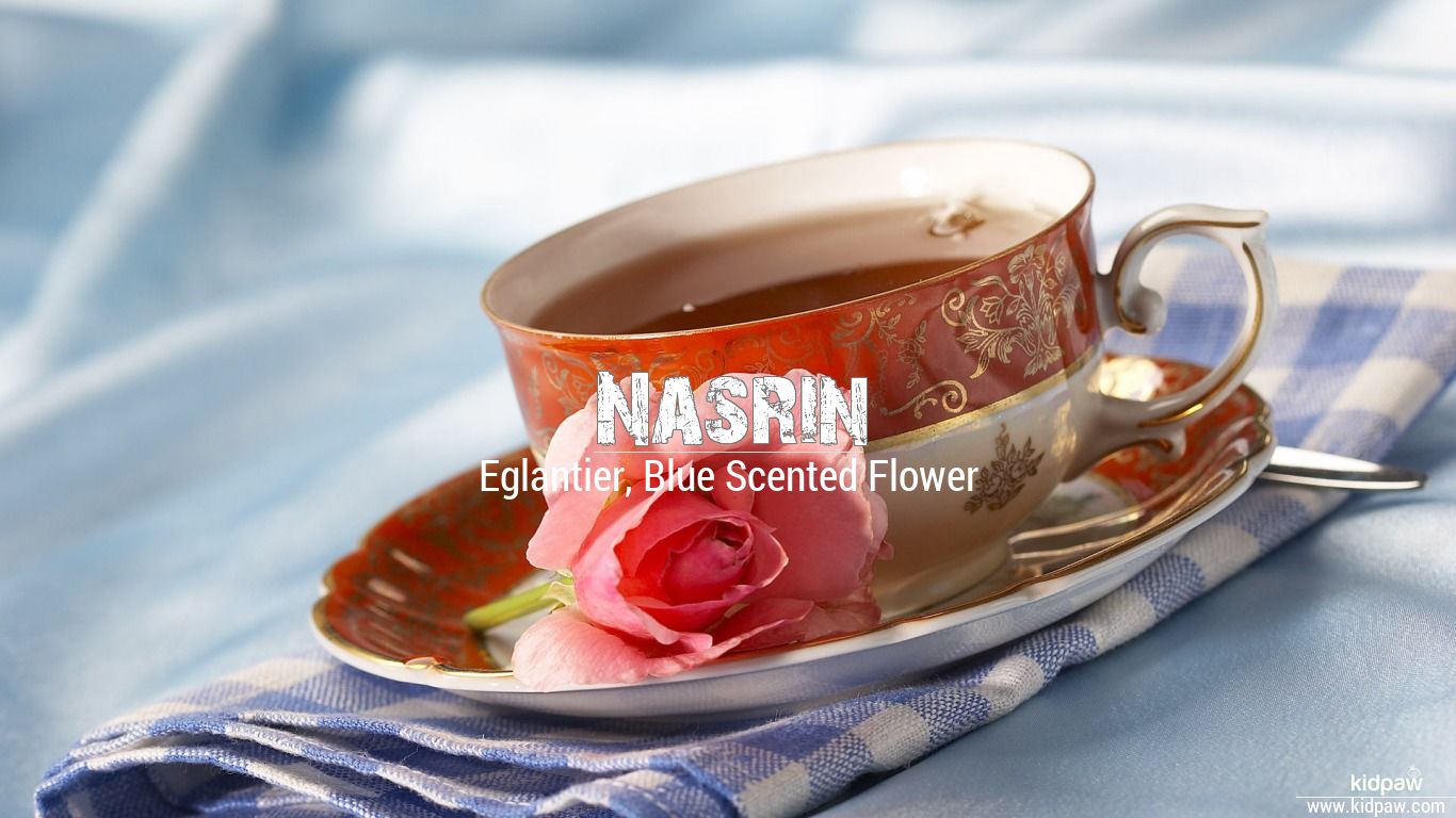Nasrin Name Meaning in English & Urdu, Origin, Luck Number