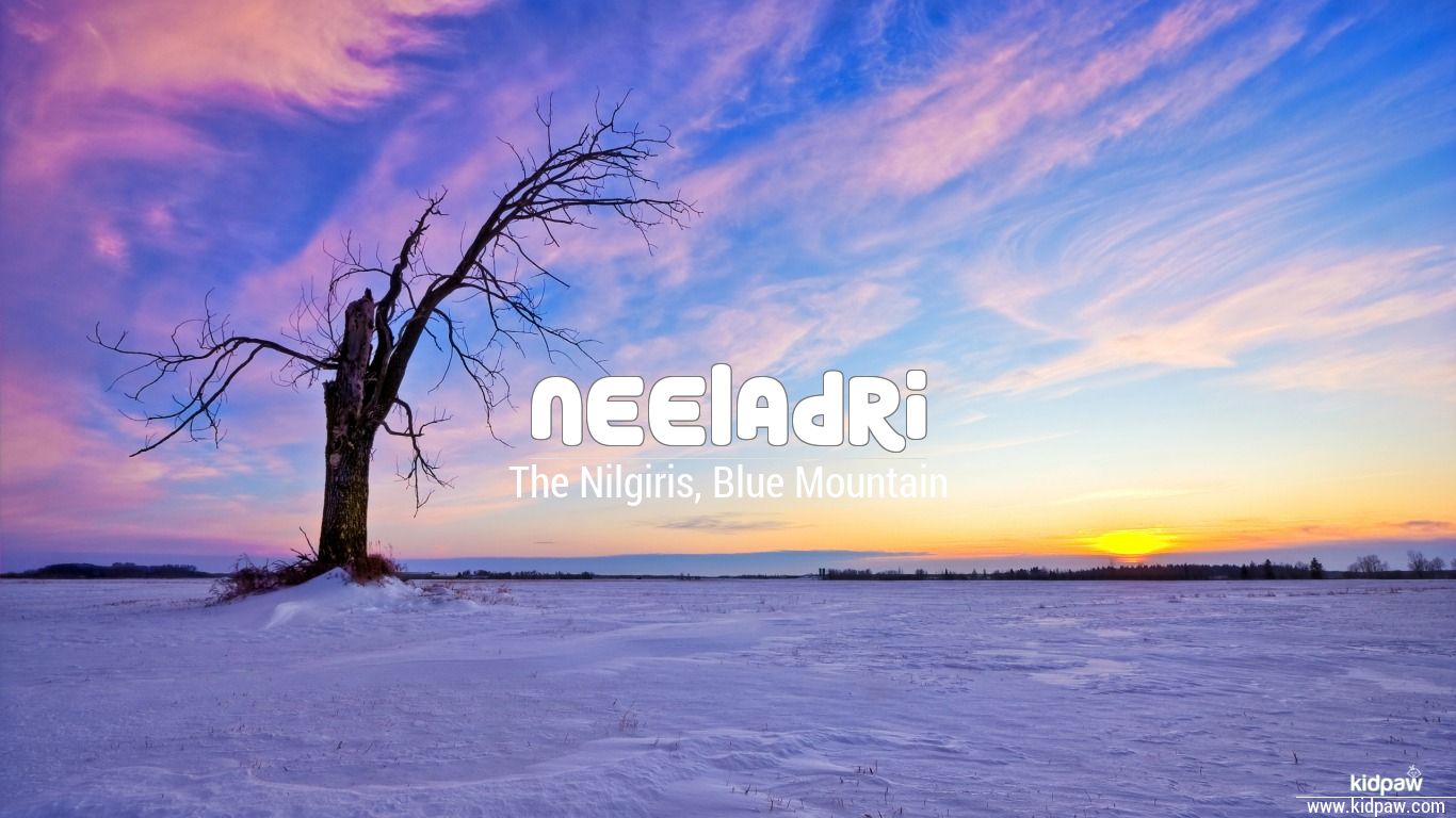 Neeladri 3D Name Wallpaper for Mobile, Write नीलाद्री Name on Photo Online