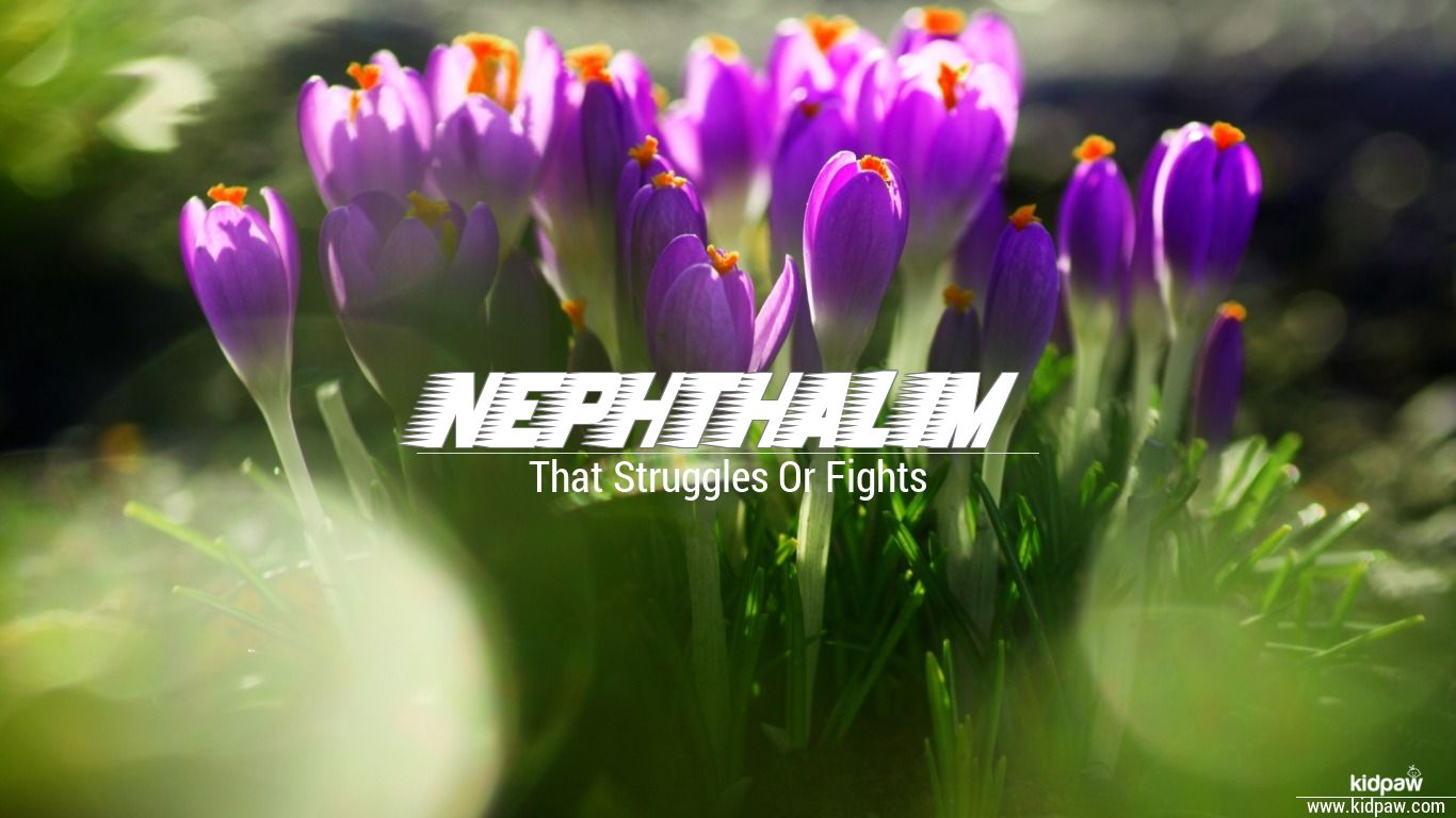 Nephthalim Name Meaning in Urdu نام کی تفصیل، لکی نمبر