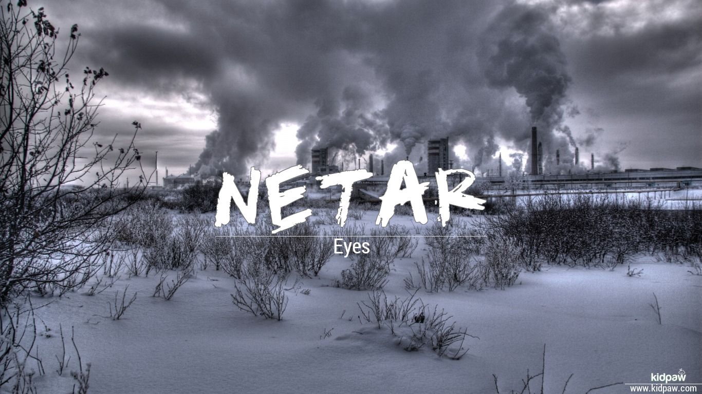 Netar 3D Name Wallpaper for Mobile, Write नेटर Name on Photo Online